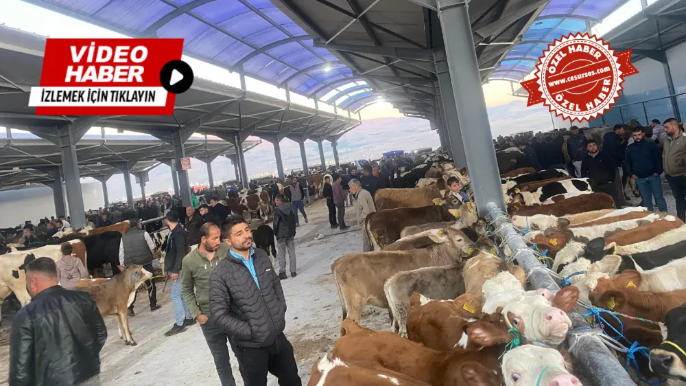 NİĞDE CANLI HAYVAN PAZARINDA ALIM-SATIM YOĞUNLUĞU